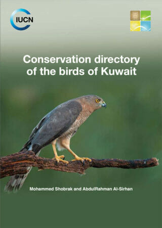 The Birds of Kuwait website | Birdwatching Tours | Kuwait Bird List