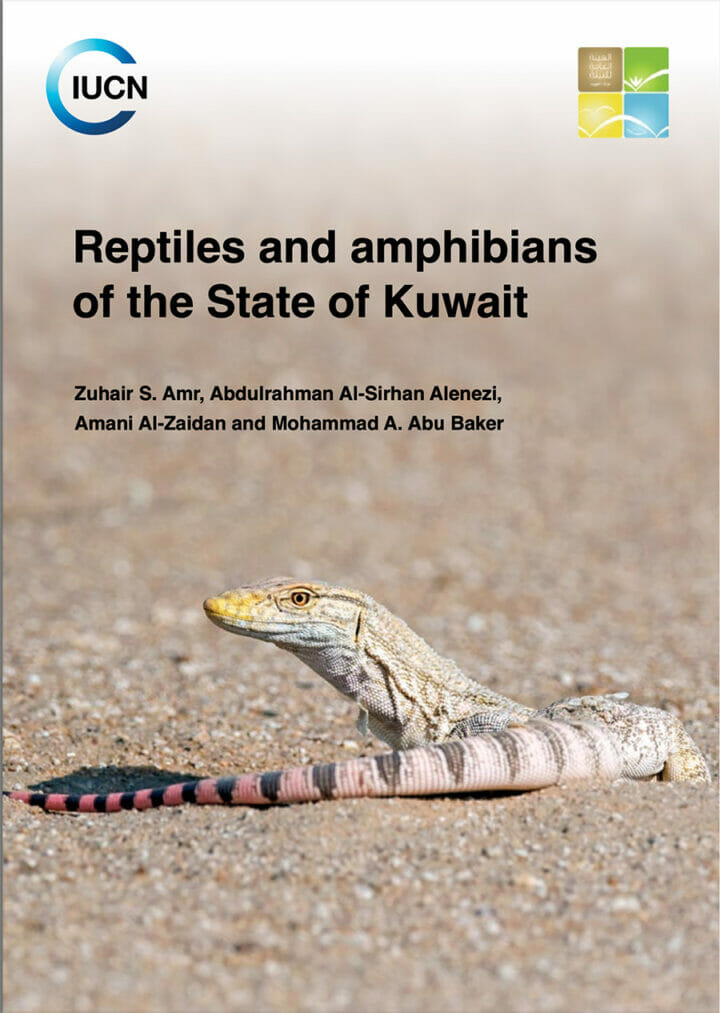 The Birds of Kuwait website | Birdwatching Tours | Kuwait Bird List